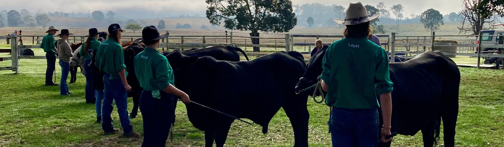 Loganlea State High School